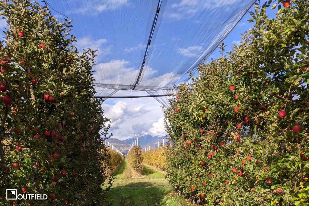 Mixing drones and hail nets – Outfield