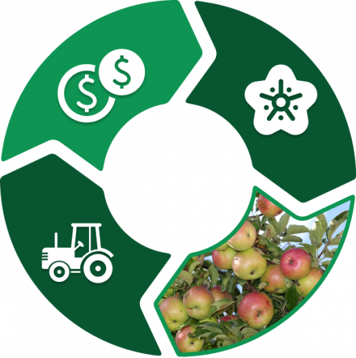Crop Load Management – Outfield