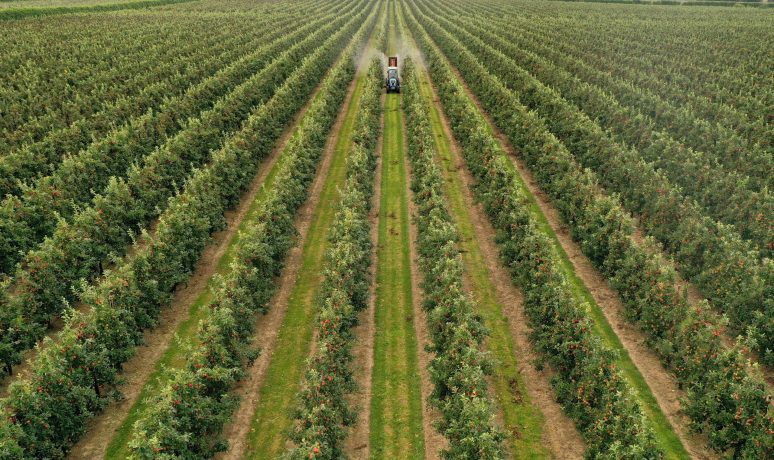 Crop Load Management – Outfield